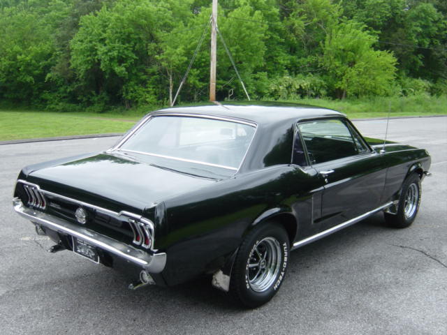 Maple Motors Inc. - Hendersonville, TN