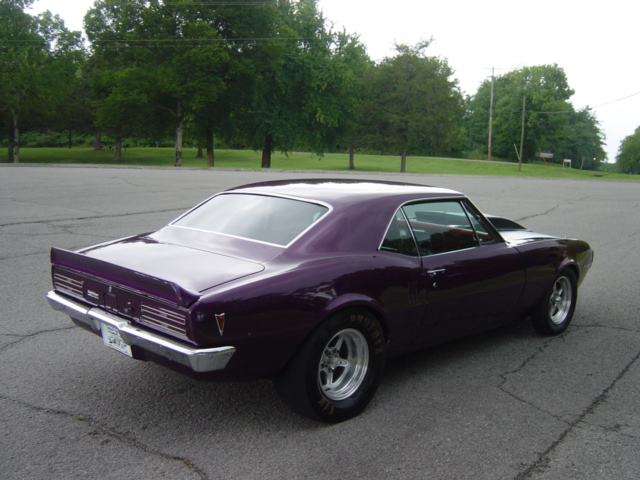 Maple Motors Inc. - Hendersonville,TN