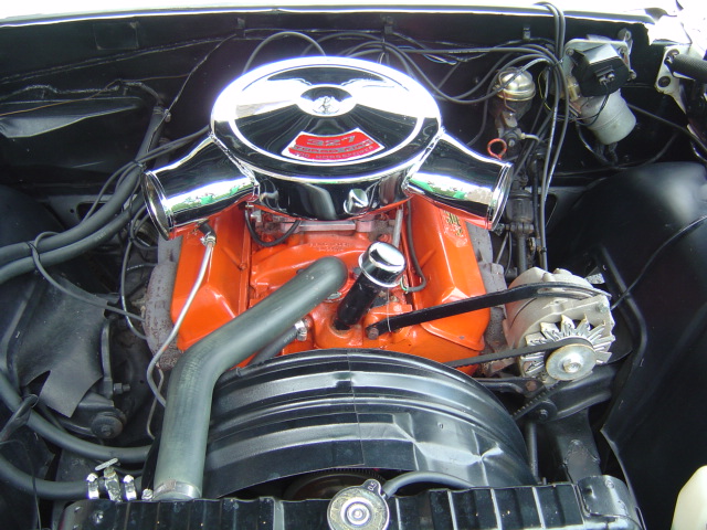 Maple Motors Inc. - Hendersonville, TN