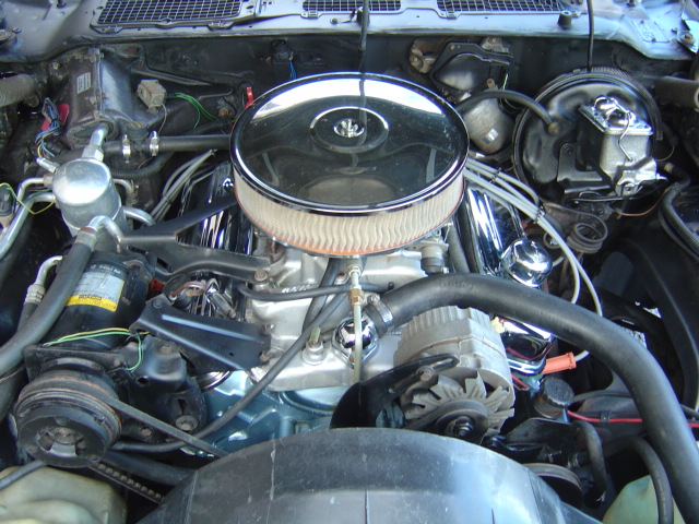 Maple Motors Inc. - Hendersonville, TN